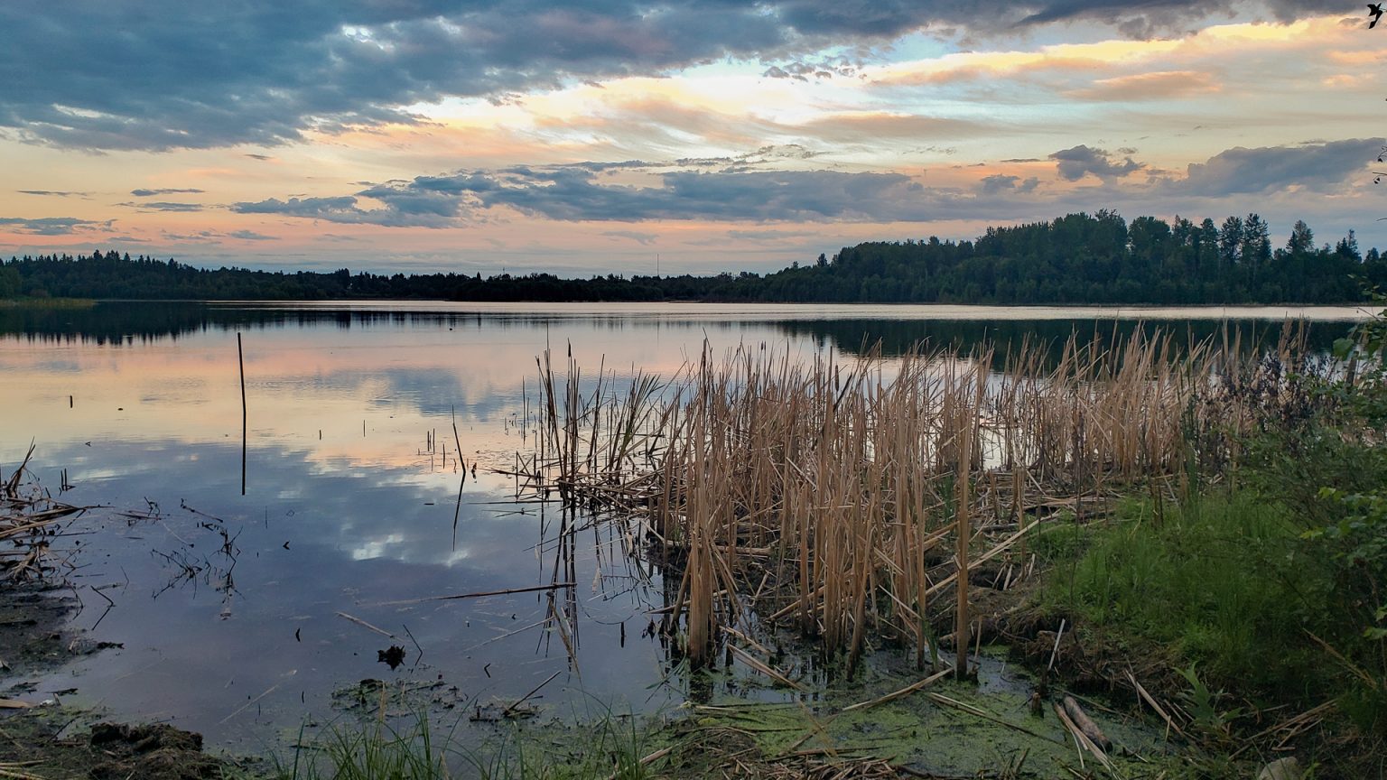 The Little Lake House at Spring Lake - Little Lake House
